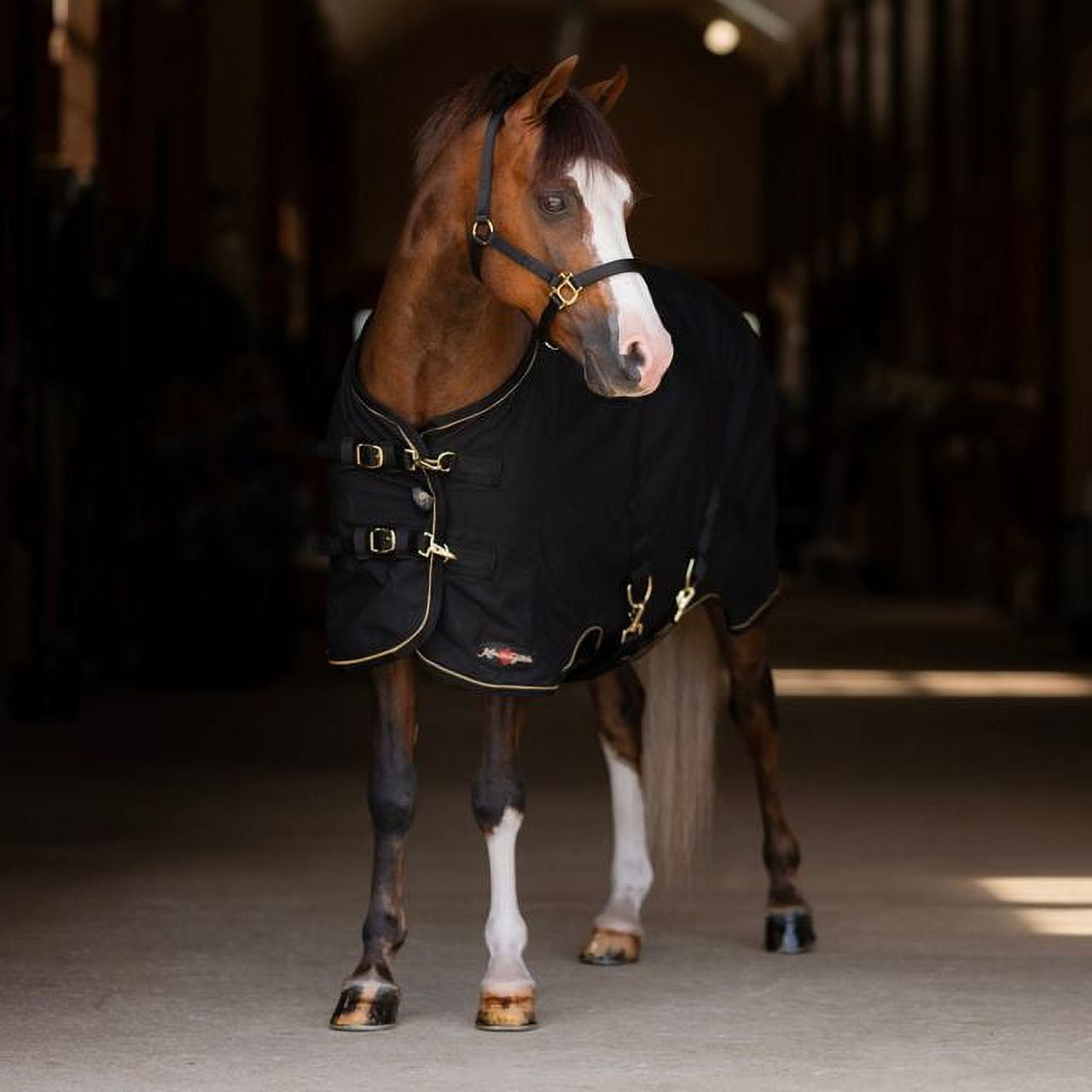 Pony Poly Cotton Stable Sheet - Walmart.com