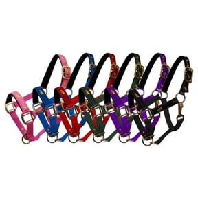 Adjustable Neoprene Lined Nylon Halter w/ "Running Horse" Overlay (Blue ...