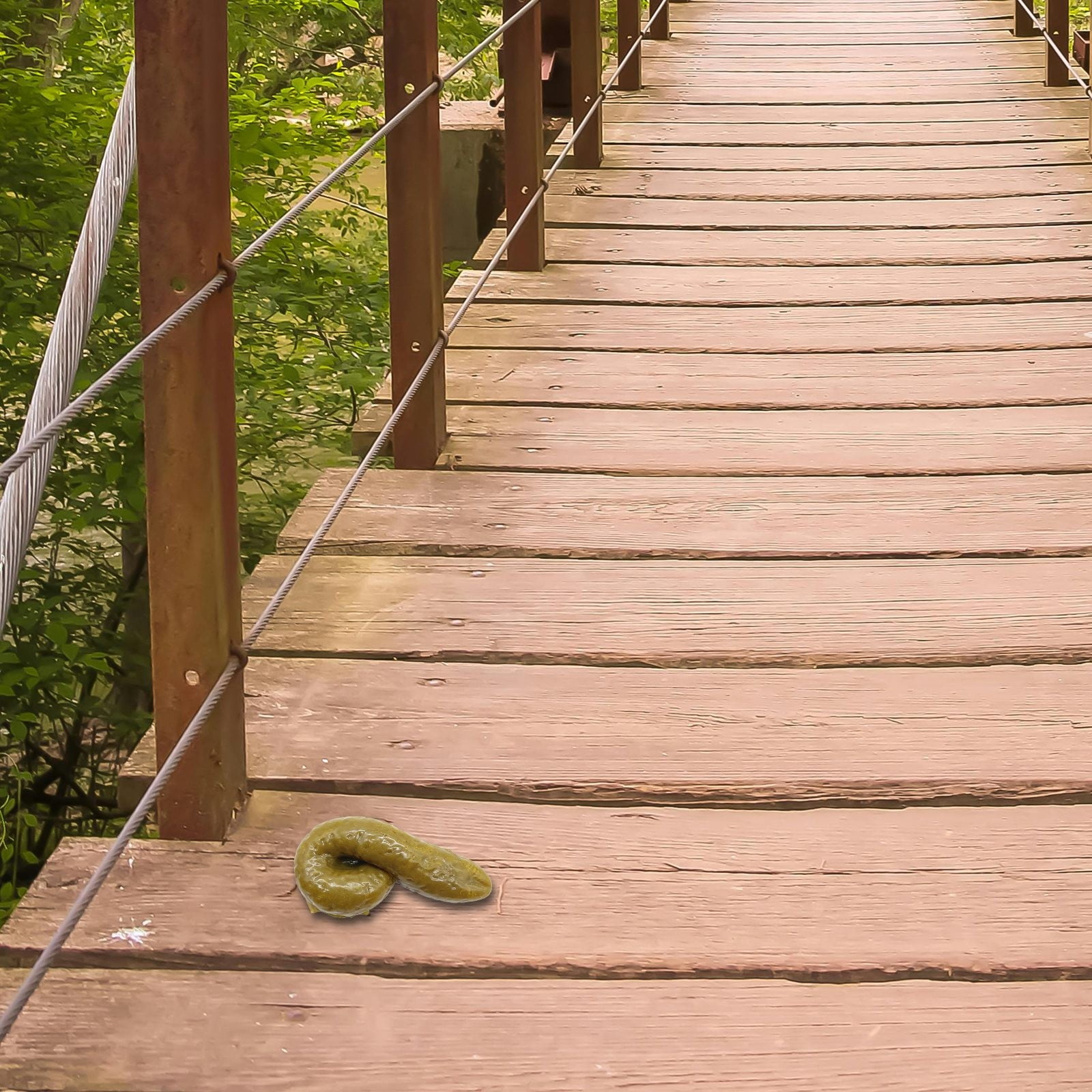 Poo Prank Toy – Realistic Poop For Pranks Stress And Fool’s Day ...