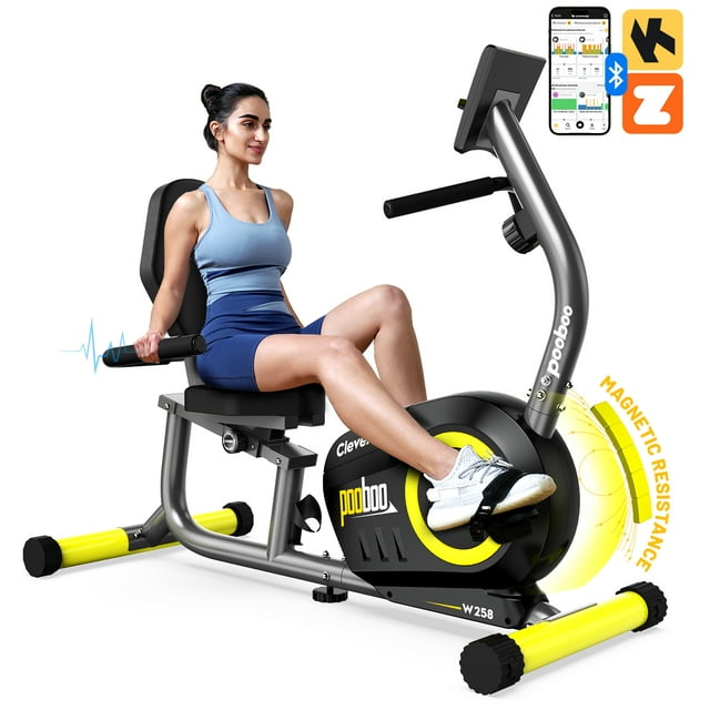 Pooboo Recumbent Exercise Bikes Sit Down Stationary Bicycle Magnetic Resistance Indoor Cycling ...