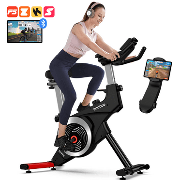 Cycool Compact Stationary Fitness Cardio Bike with Back Support ...