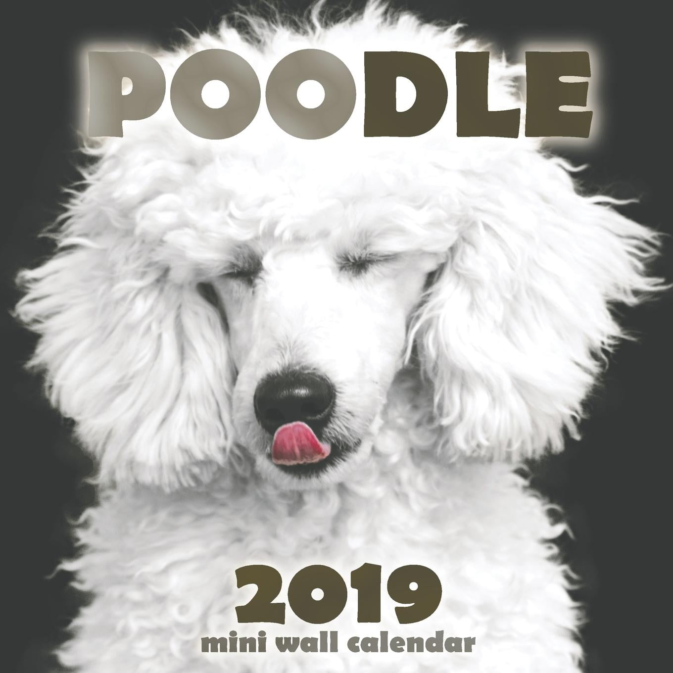 Poodle 2019 Mini Wall Calendar (Paperback) - Walmart.com