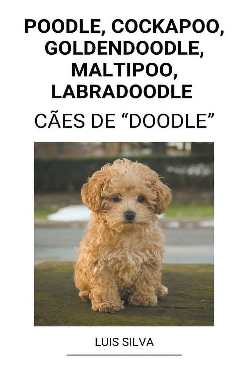 Poodle, Cockapoo, Goldendoodle, Maltipoo, Labradoodle (CÃ£es de "Doodle ...