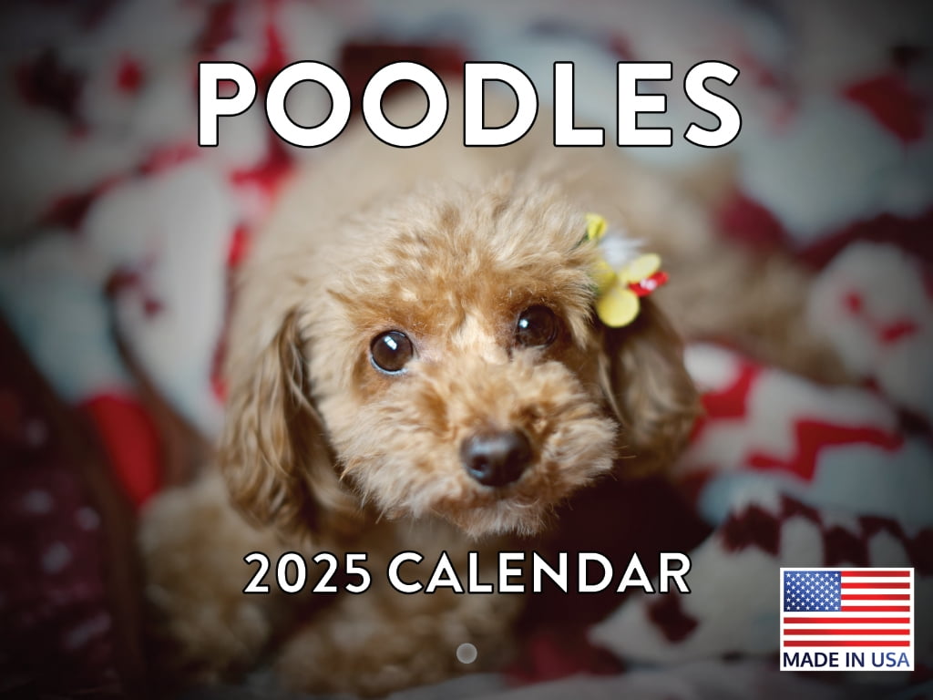 Poodle Calendar 2025 Monthly Wall| American Made In The USA - Walmart.com