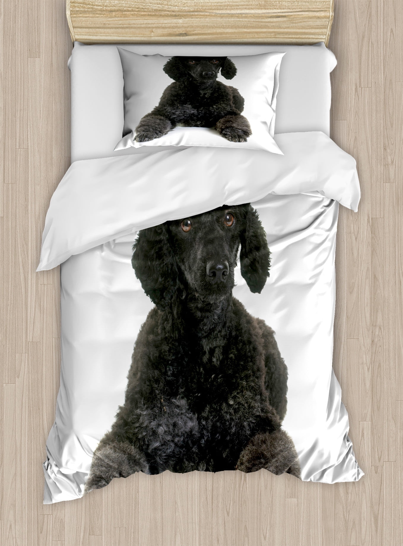 Poodle Duvet Cover Set, Fluffy on a Plain Background Animal Lover's ...