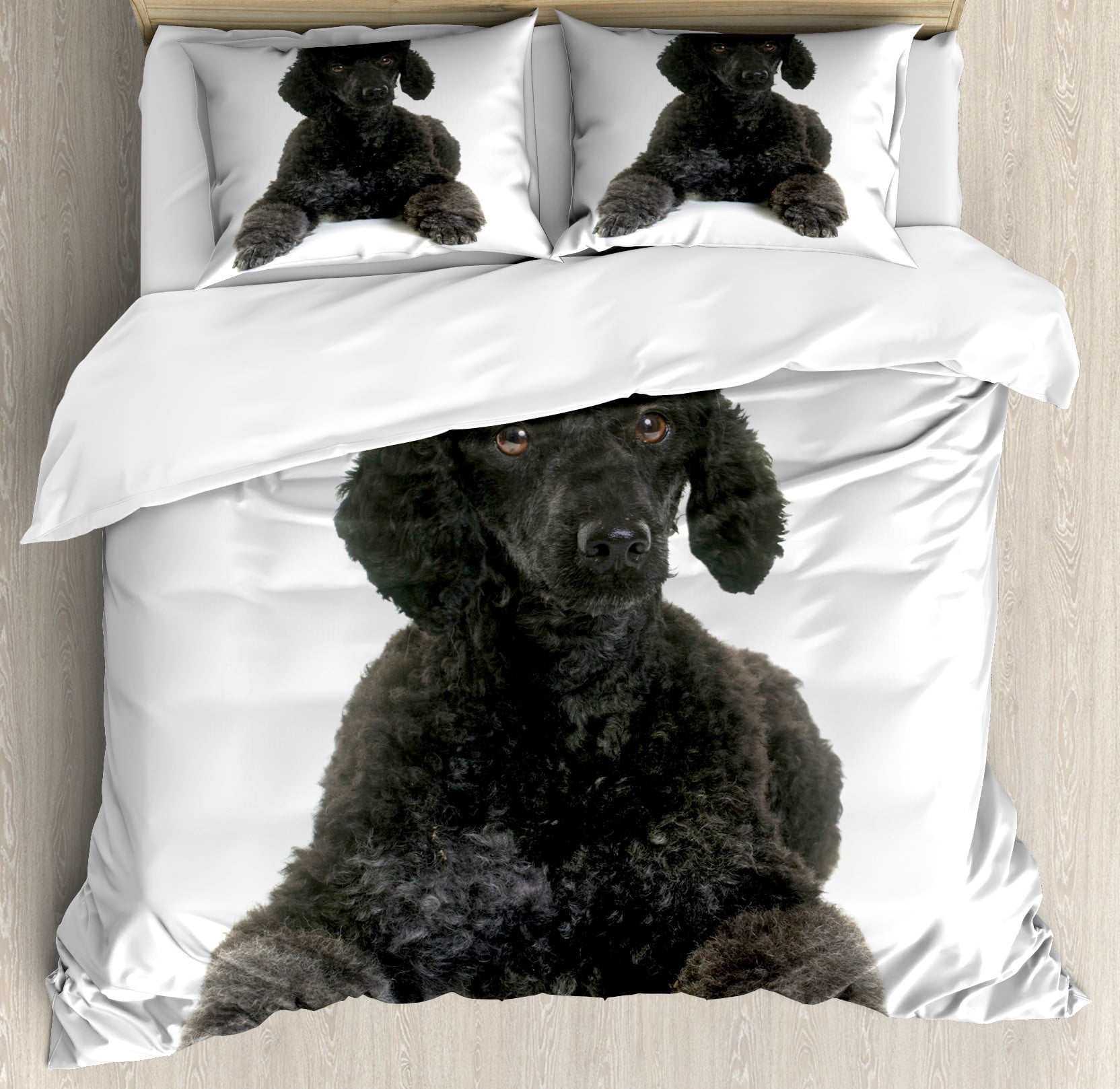 Poodle Duvet Cover Set, Fluffy on a Plain Background Animal Lover's ...