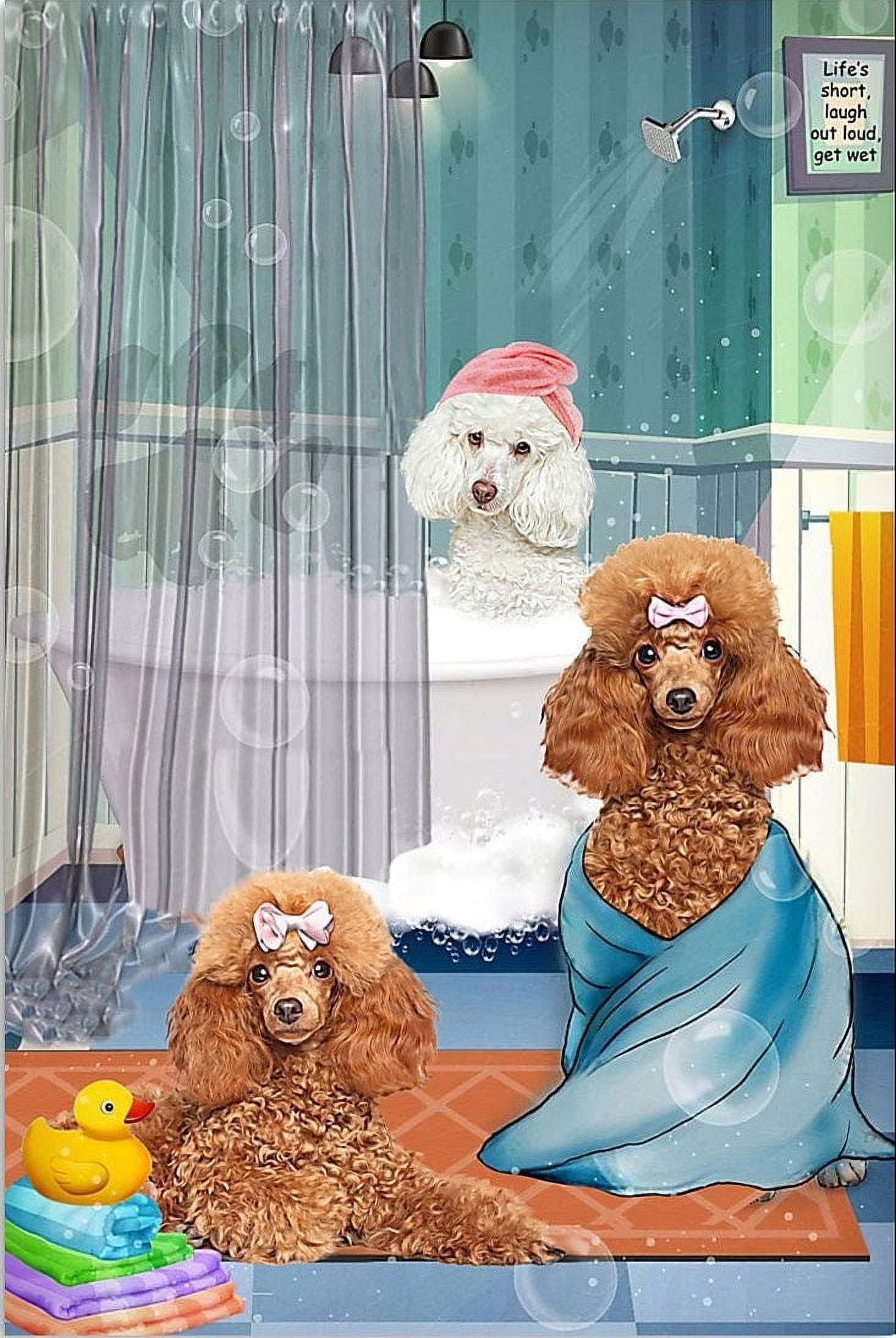 Poodle Poster Take A Shower poster, Wall Decor, Poodle dog Poster ...