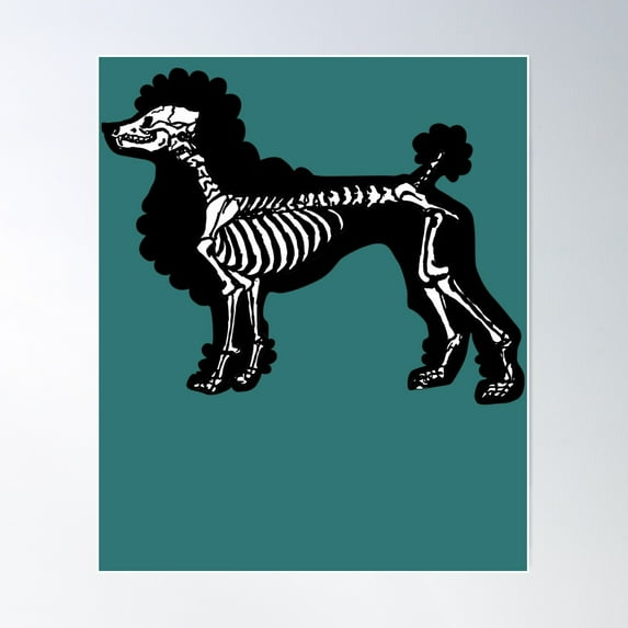 Poodle Skeleton Poster Wall Art, Modern Wall Decor For Living Room ...