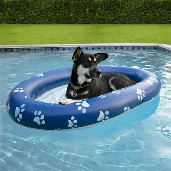Dog Floats Pool