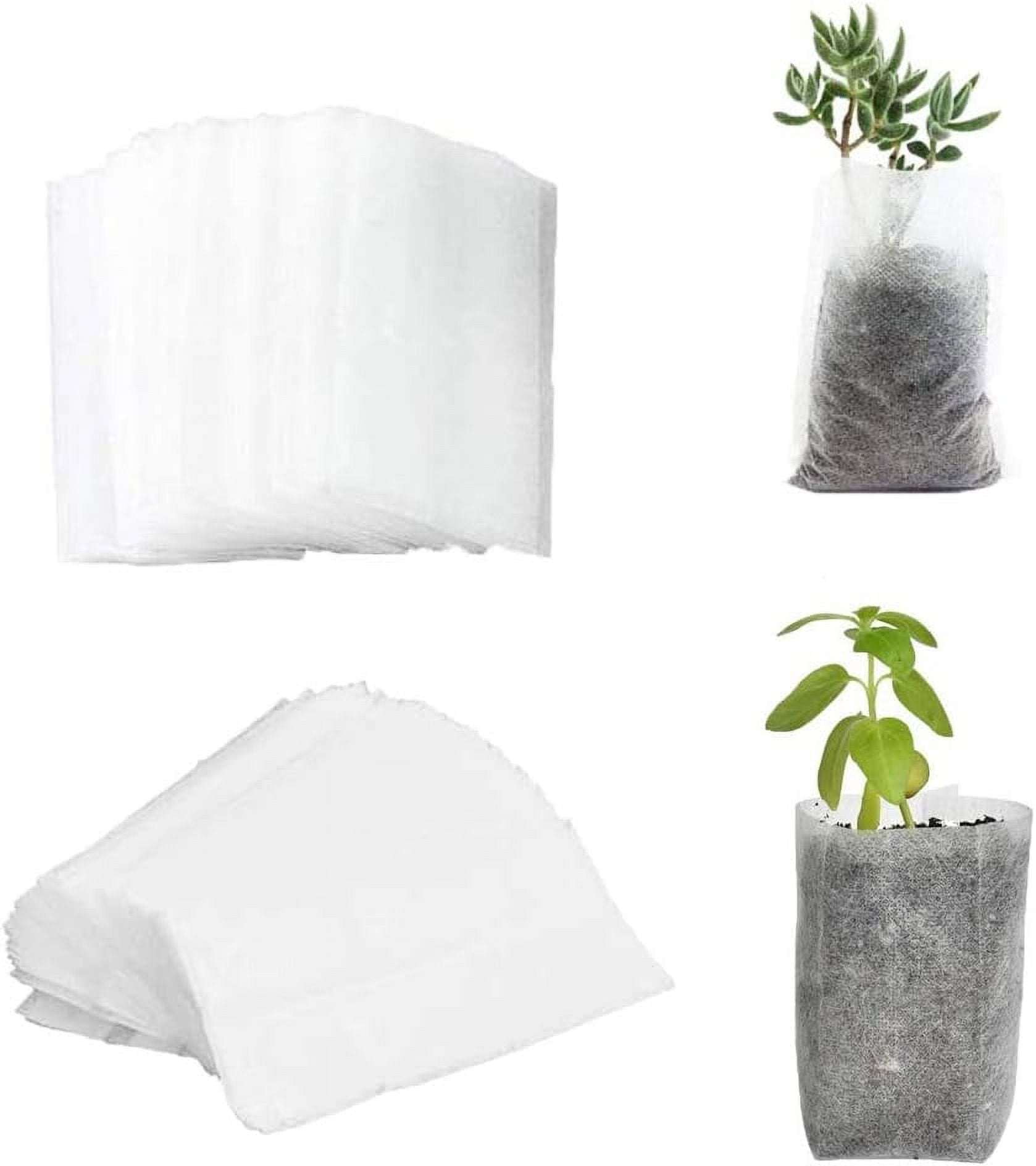 Pool Cue Stability Assured With Billiard Talcum Powder, Talc Powders ...