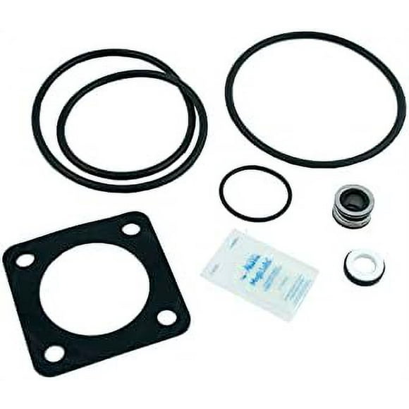 Sta Rite Pump Seal Kit