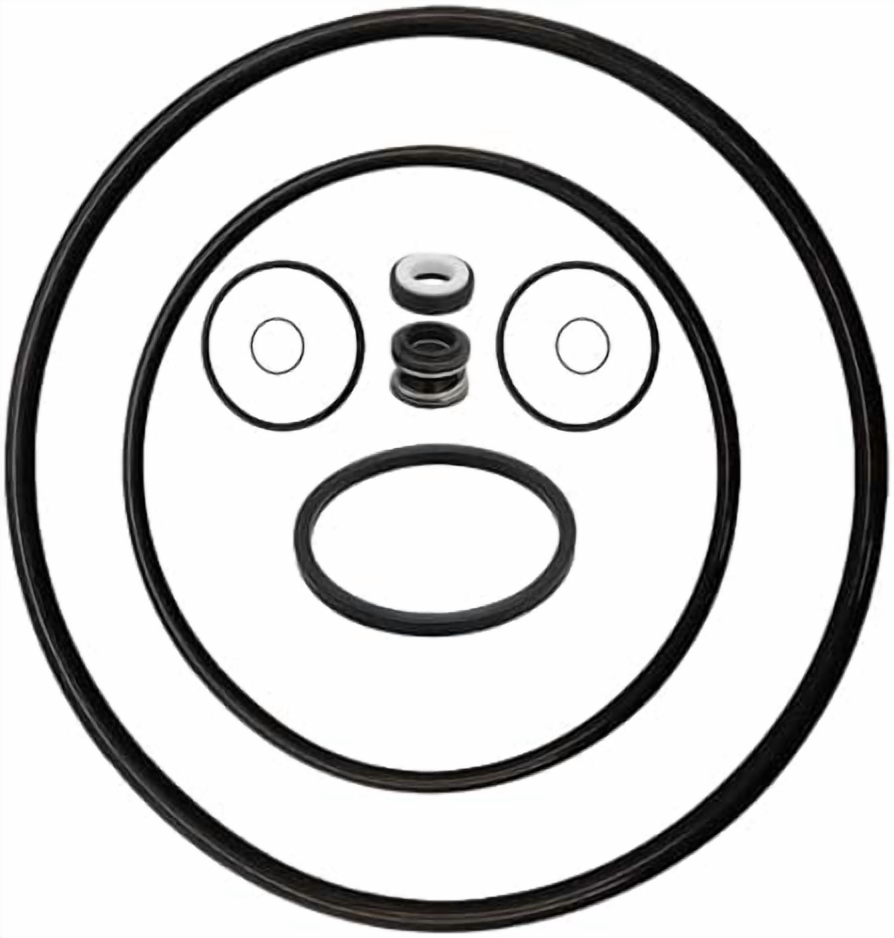 Pool Pump Gasket Seal O-Ring Rebuild Repair Kit Fit for Pentair ...