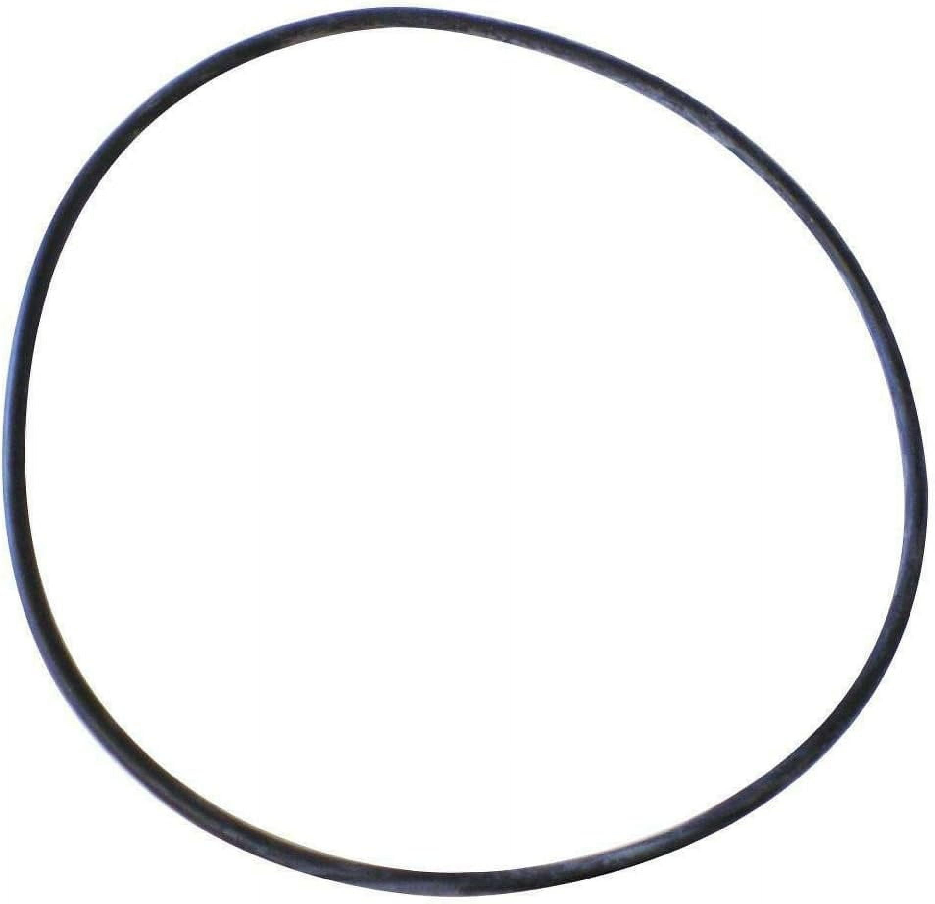 Pool Seal Plate O-Ring Replacement Part O-239 SPX4000T for Hayward ...