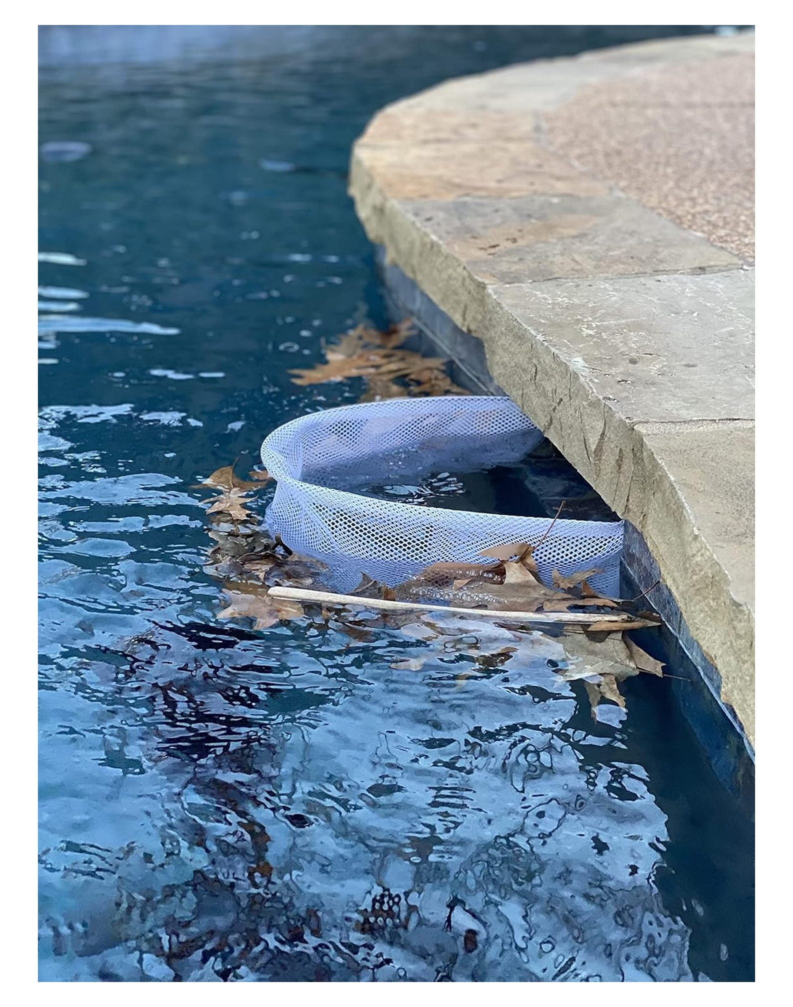 Pool Skimmer Shield Protective Spring Action Net System Leaf Protection ...