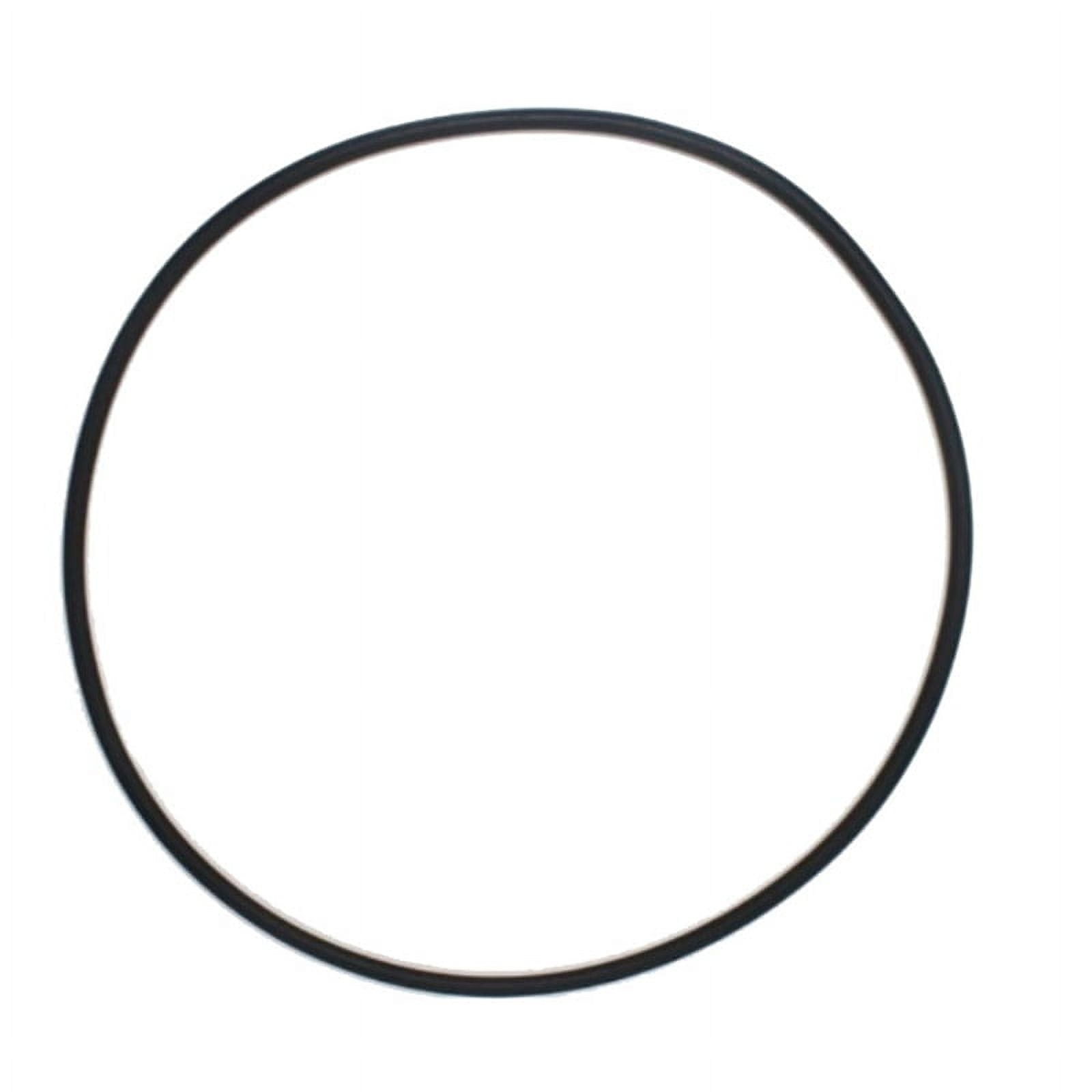 Pool Spa Filter Tank O-Ring For 27001-0061S O-484 For SPA- - Walmart ...