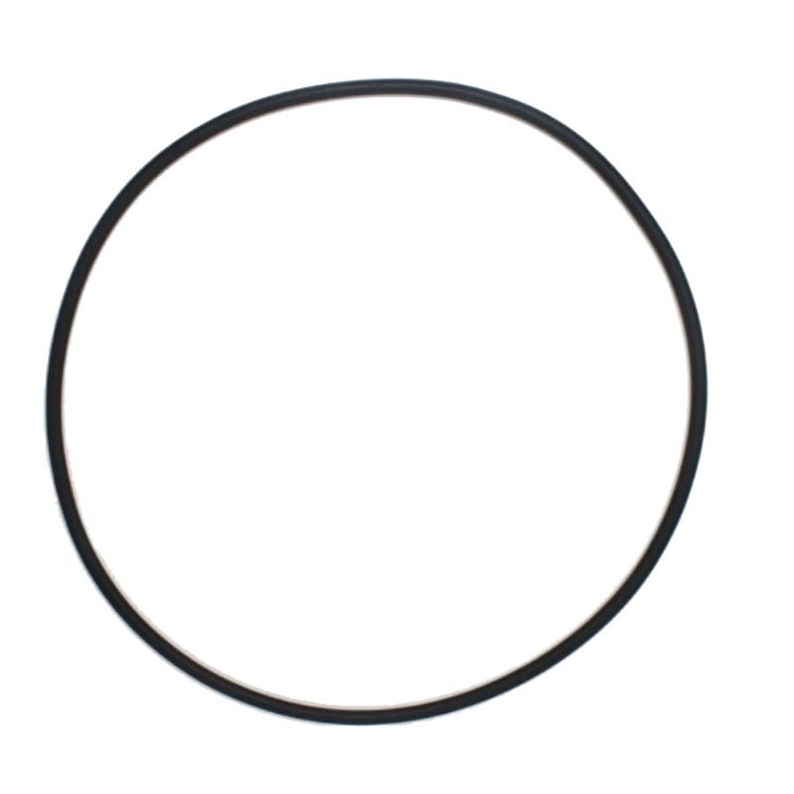 Pool Spa Filter Tank O-Ring for 27001-0061S O-484 for SPA- PLM100 Pool ...