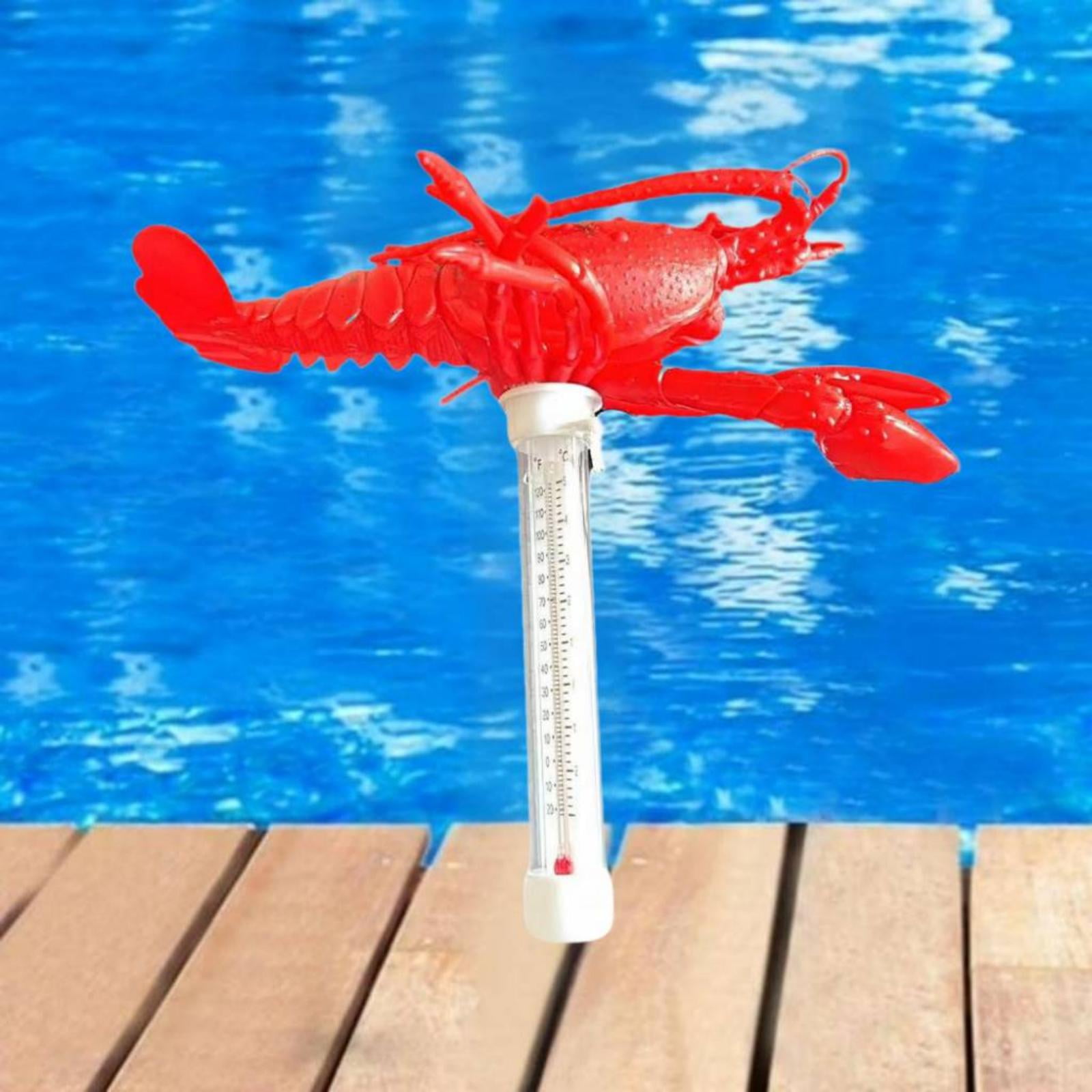 Pool Thermometer Floating Easy Read Large Size Easy Read Pool ...