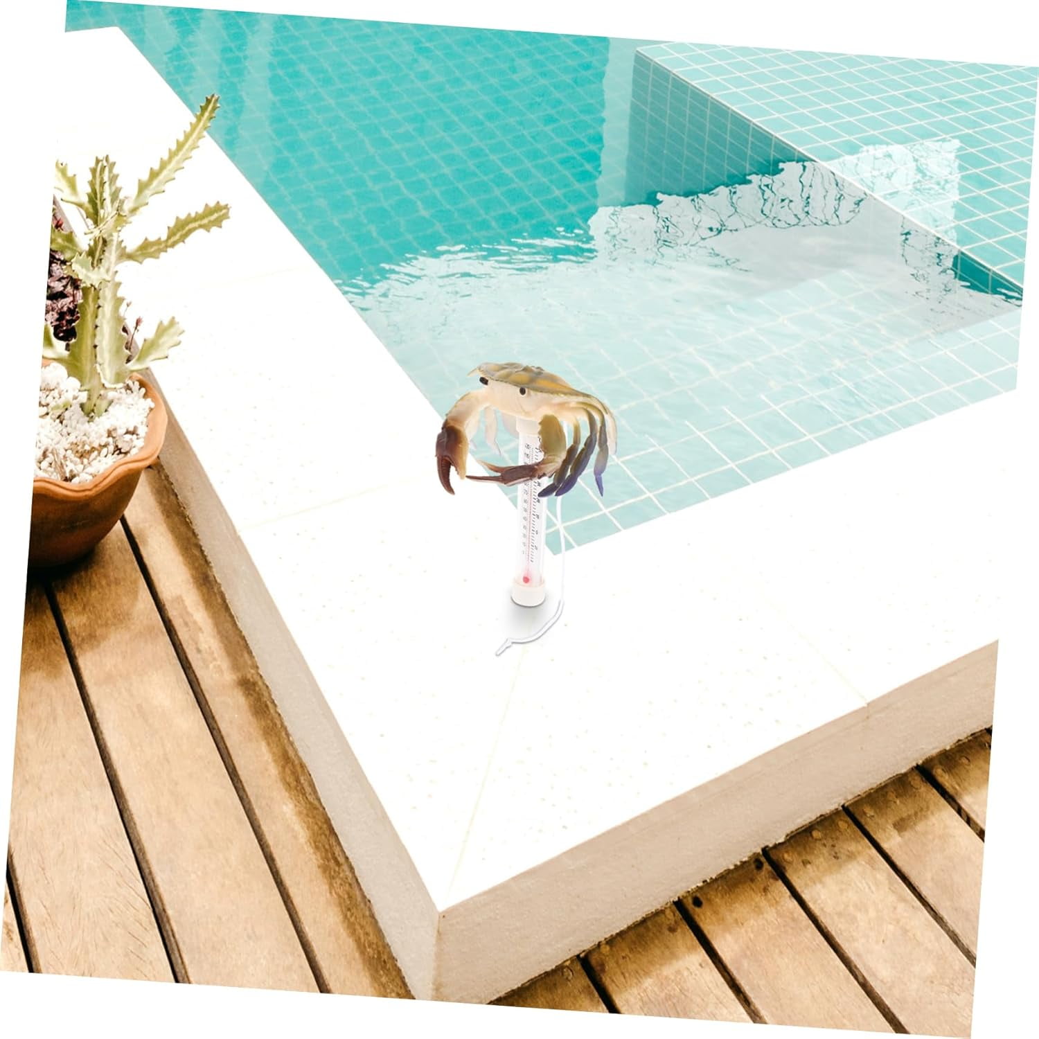 Pool Thermometer, Floating Pool Water Thermometer, Pool Prop Water ...