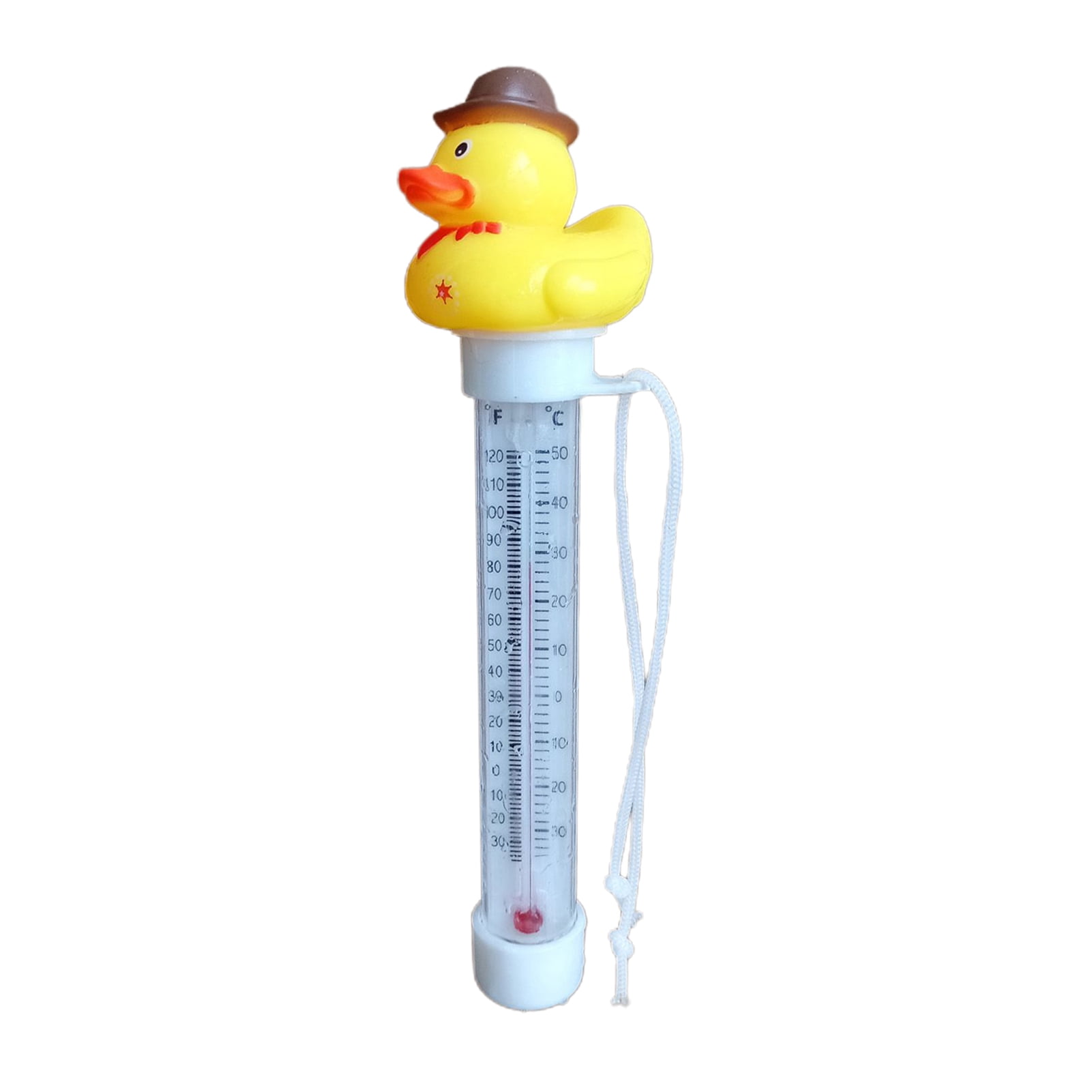 Pool Thermometers Floating Easy Read, Digital Thermometers Cute Duck ...