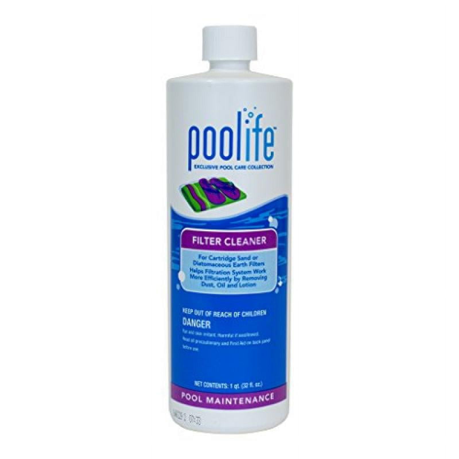 poolife Filter Cleaner, Acidic Solution for Cartridge and Sand Filters ...