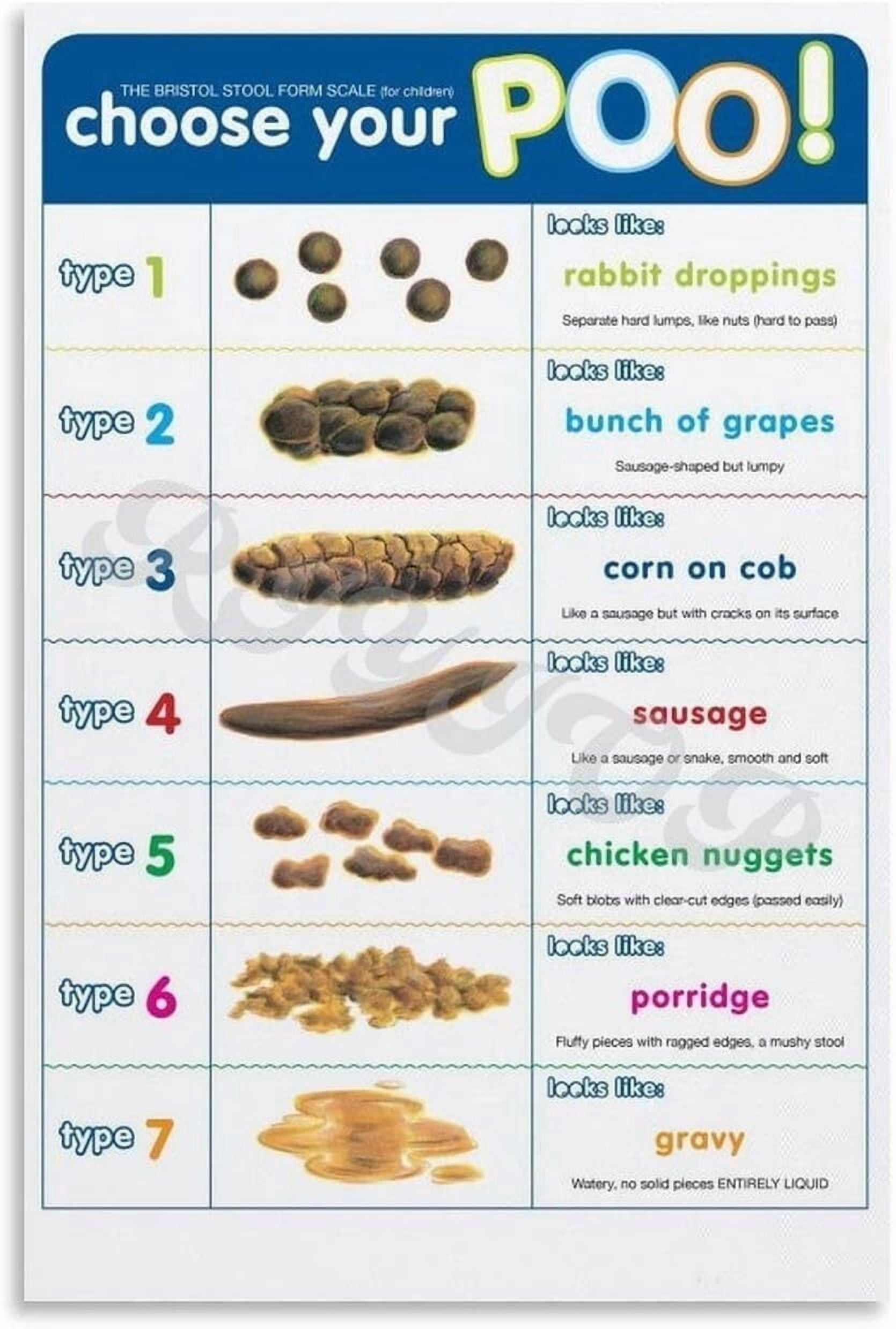 Poop Chart Bristol Stool Chart Poster Stool (1) Canvas Painting Wall ...