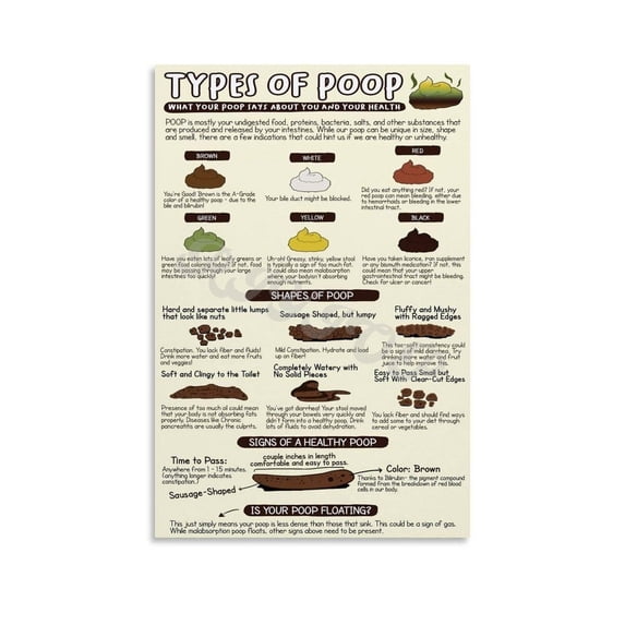 Poop Chart Bristol Stool Chart Poster Stool Chart (5) Canvas Painting ...