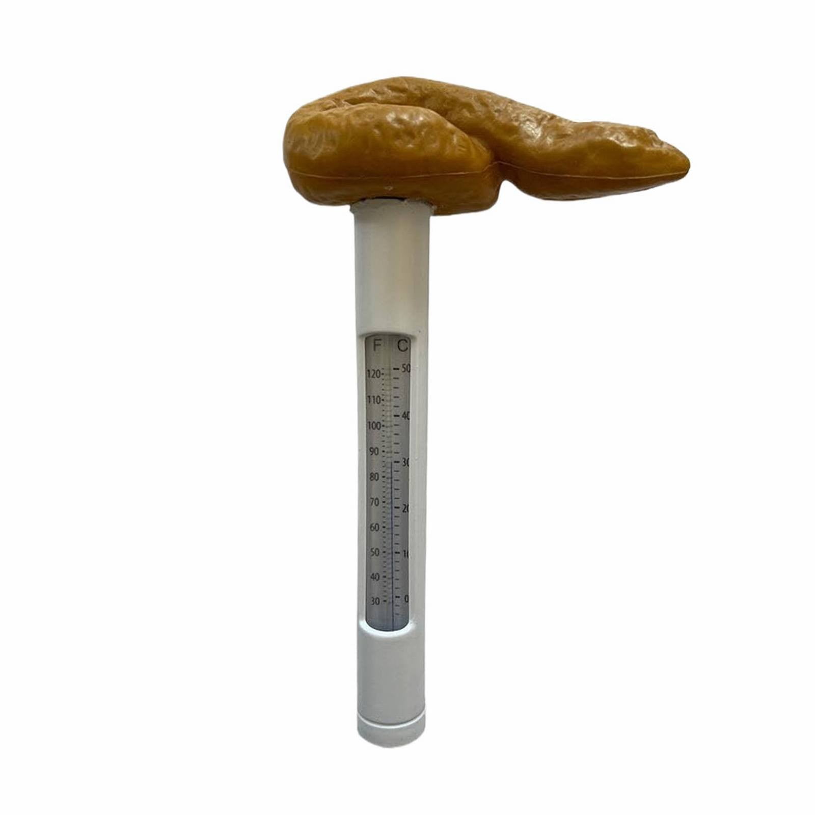 Poop Pool Thermometer JWDX, 1 Thermometer Floating Swimming Pool ...