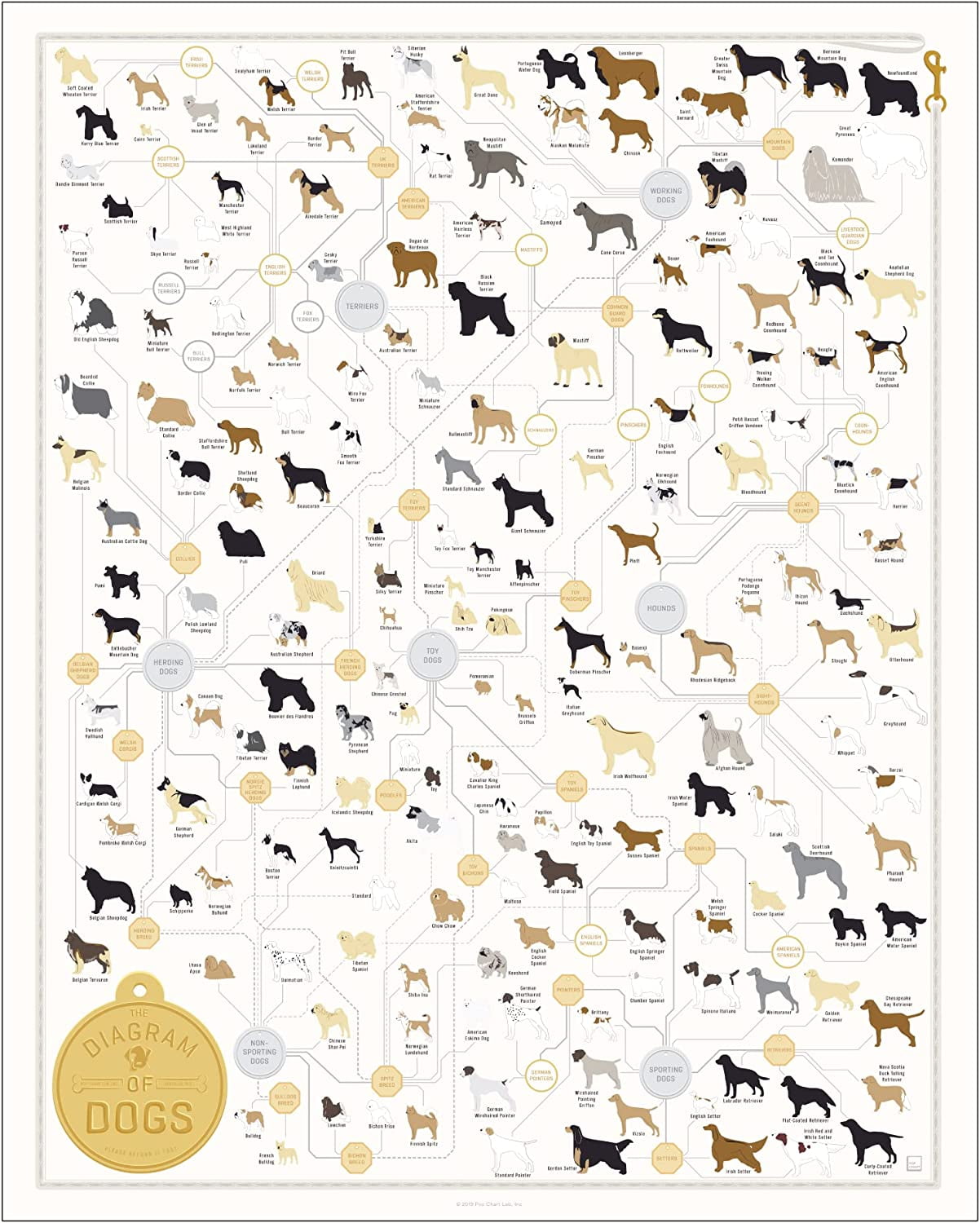 Pop Chart | Breeds of Dog Poster |Art Print | Diagram of Every Canine ...
