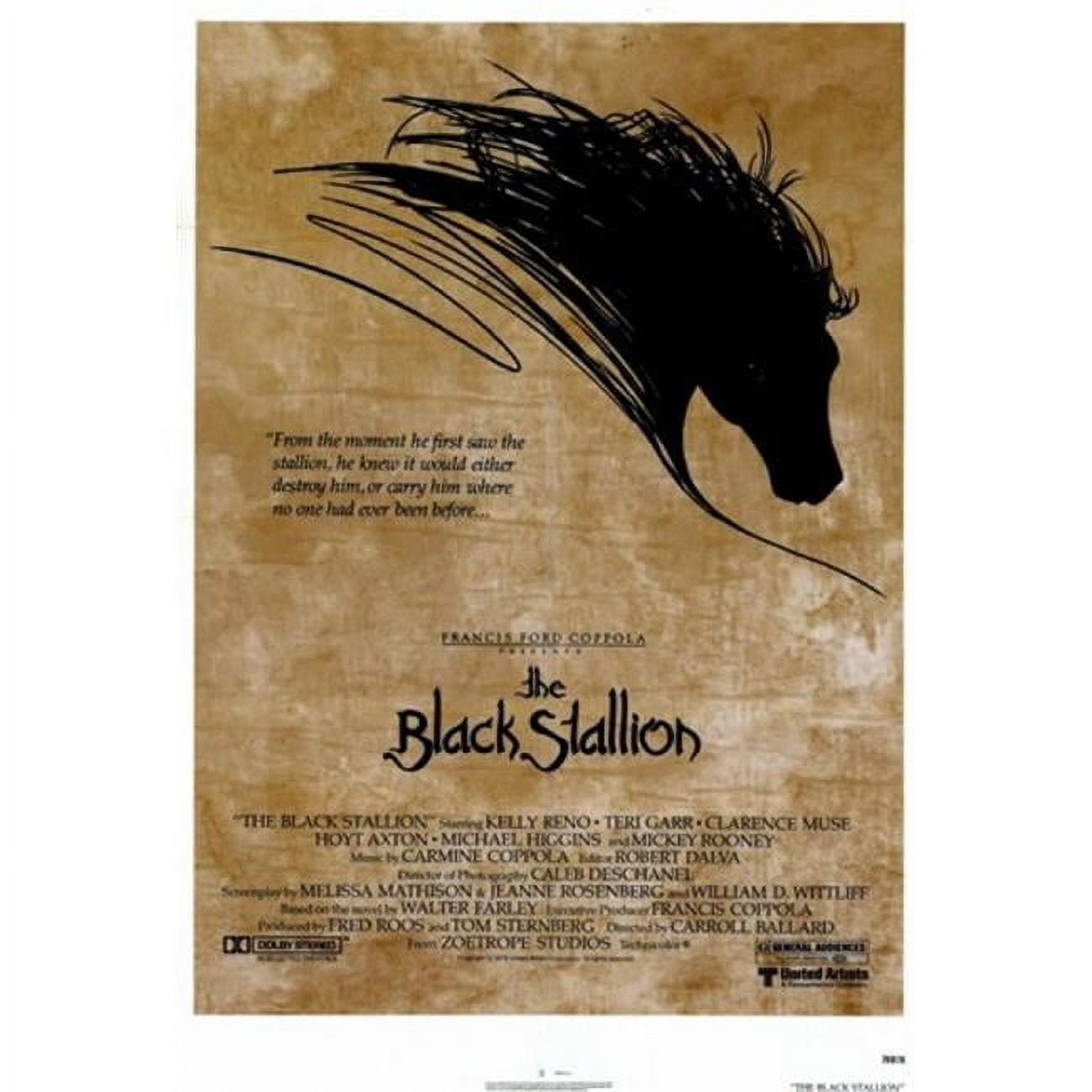 Pop Culture Graphics Black Stallion Movie Poster - Black - 11 x 17 ...