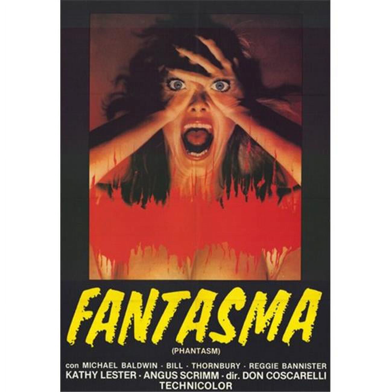 Pop Culture Graphics MOV228053 Phantasm Movie Poster, 11 x 17 - Walmart.com