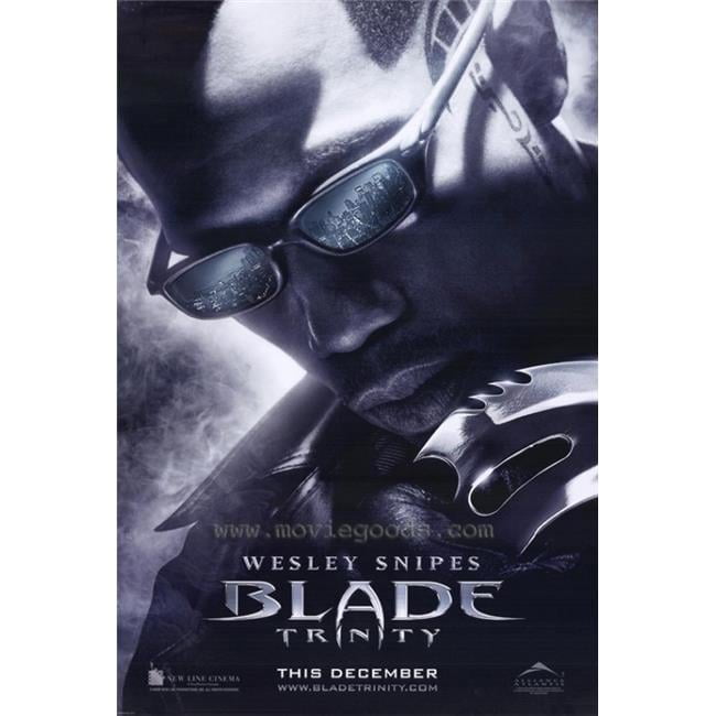 Pop Culture Graphics MOVAF3374 Blade - Trinity Movie Poster Print, 27 x ...