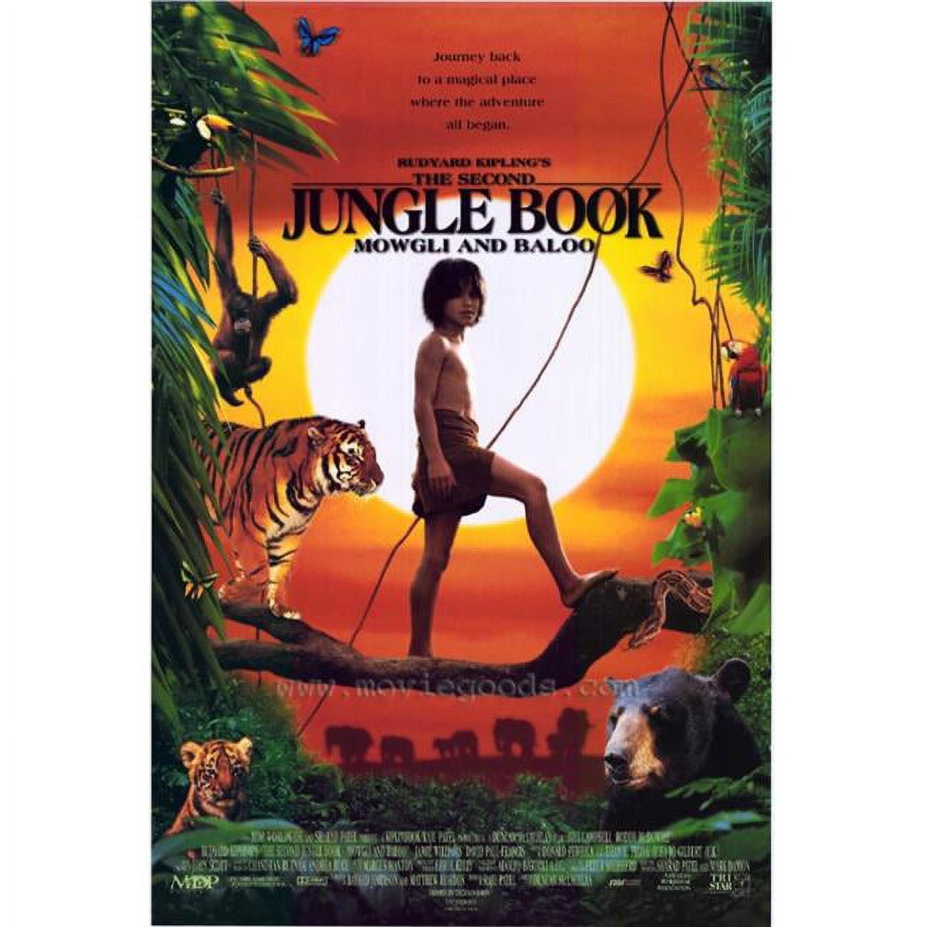 Pop Culture Graphics Rudyard Kiplings The Second Jungle Book - Mowgli & Baloo Movie Poster Print ...