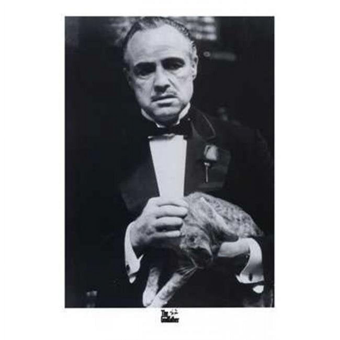 Pop Culture Graphics The Godfather Movie Poster, 11 x 17 - Walmart.com