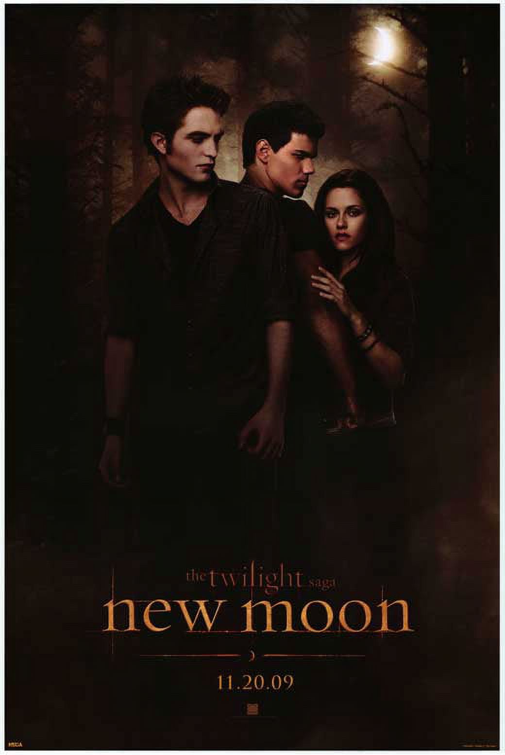 Pop Culture Graphics Twilight Movie Poster 24” x 36” Posters - Walmart.com