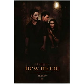 Twilight Posters