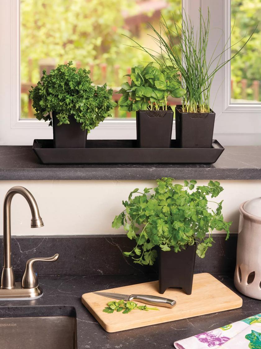 Pop-Out Pots Set of 4 - Walmart.com