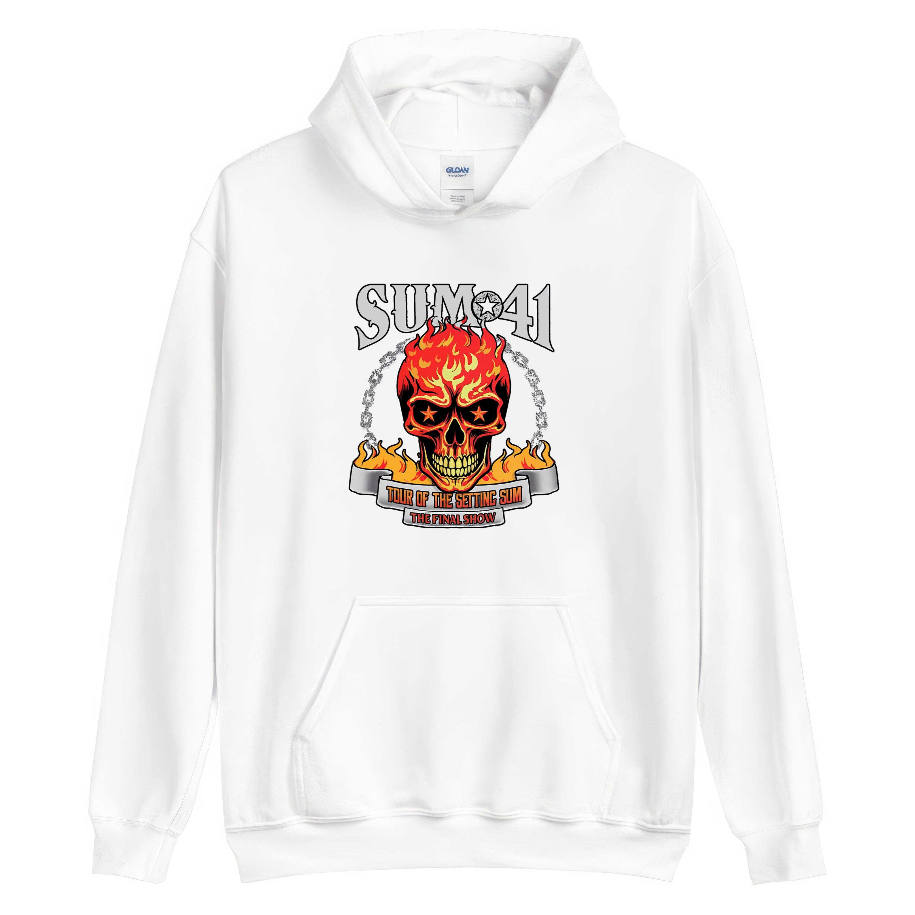 Pop Punk Band Inspired Graphic Hoodie, 2024 Tour Tee - Walmart.com