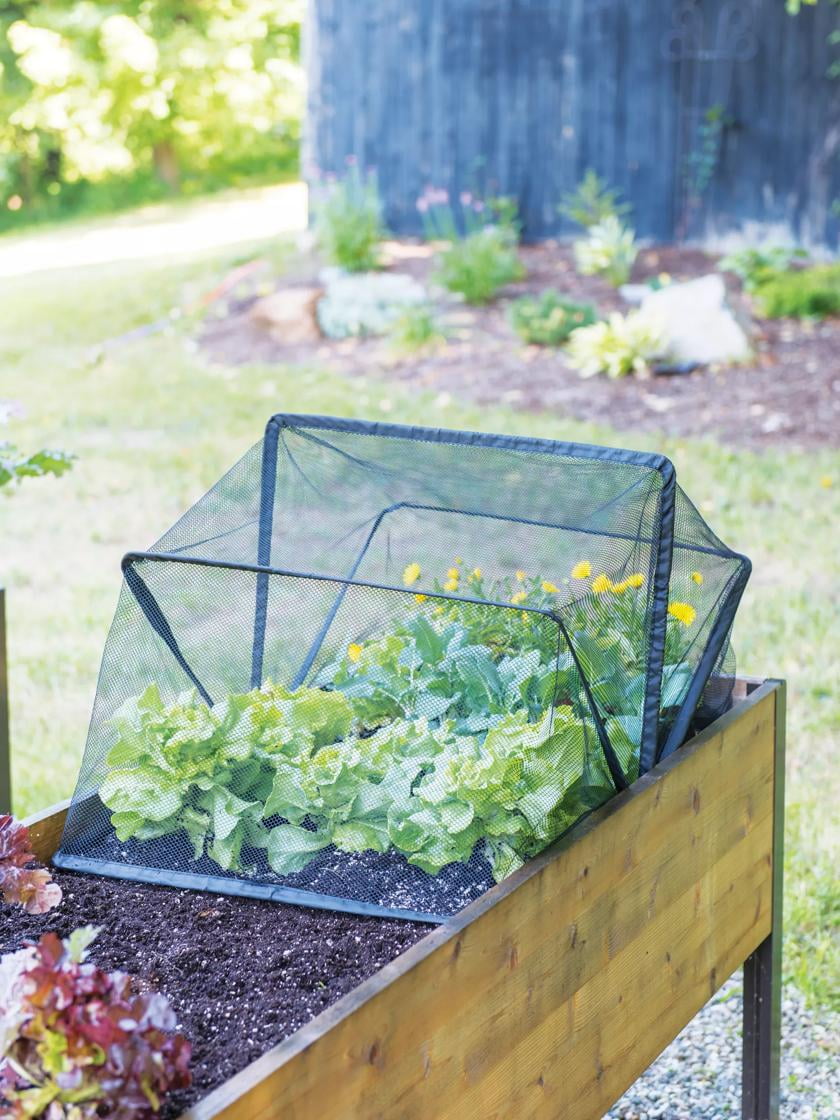 Gardener's Supply Company Pop-Up Bird & Pest Garden Netting - Walmart.com