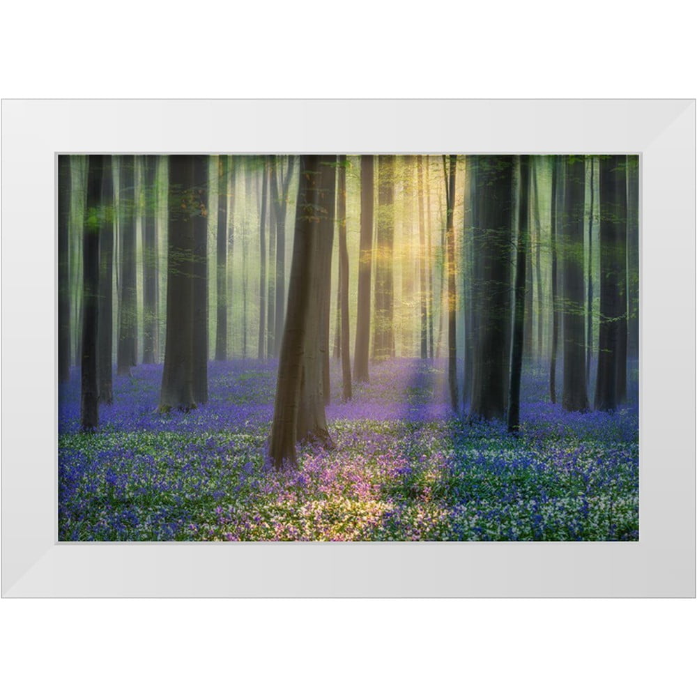 Popan, Adrian 24x17 White Modern Wood Framed Museum Art Print Titled ...