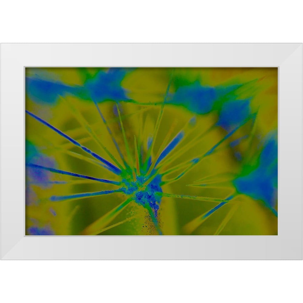Popcorn 14x11 White Modern Wood Framed Museum Art Print Titled - Color ...