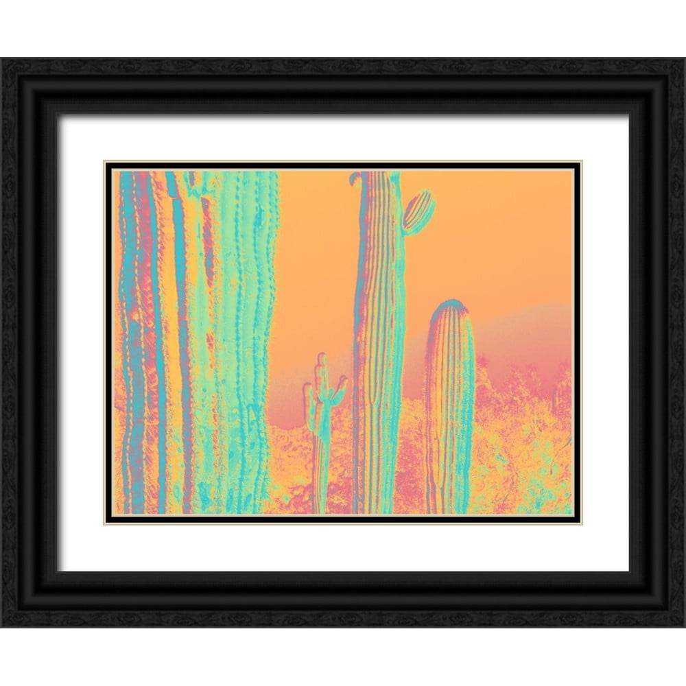 Popcorn 14x12 Black Ornate Wood Framed with Double Matting Museum Art ...