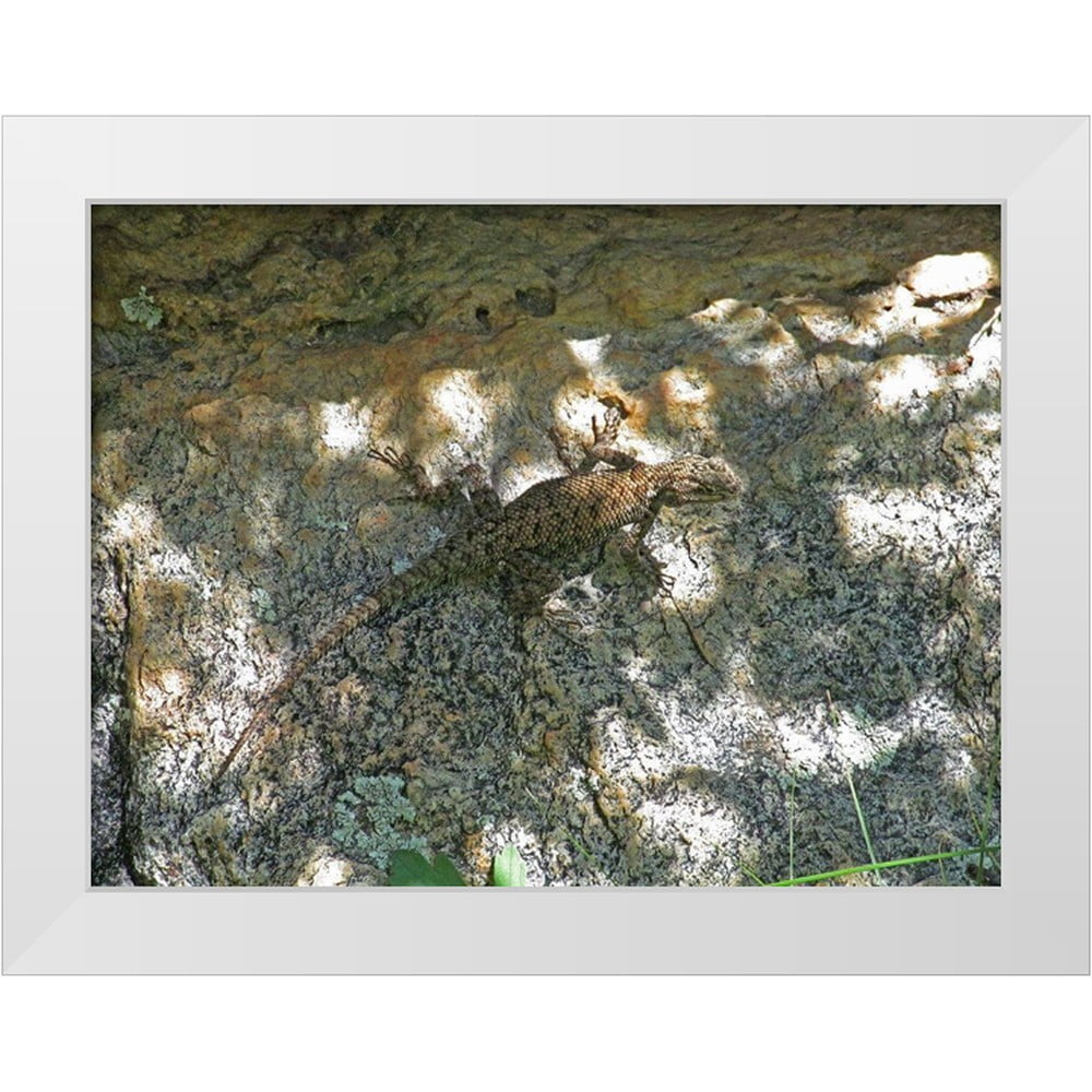 Popcorn 14x12 White Modern Wood Framed Museum Art Print Titled - Lizard ...