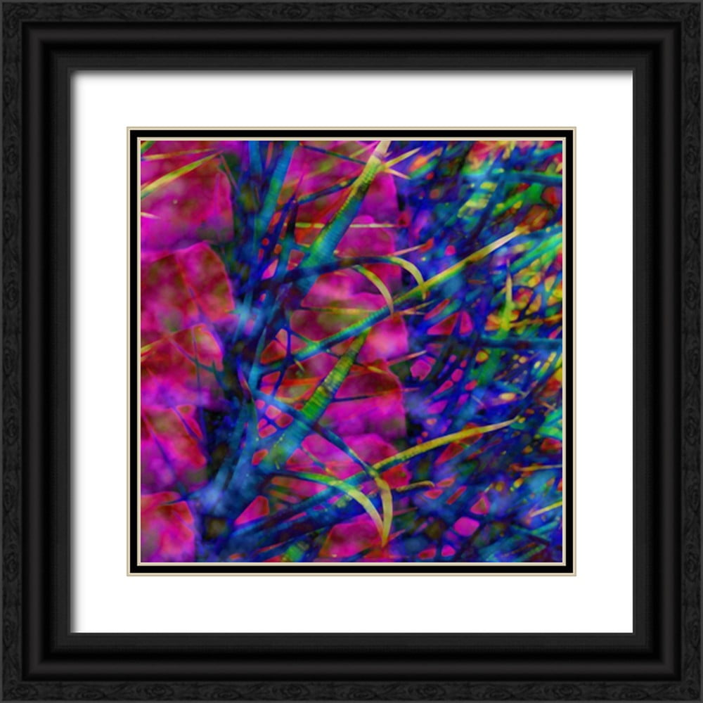 Popcorn 15x15 Black Ornate Wood Framed with Double Matting Museum Art ...