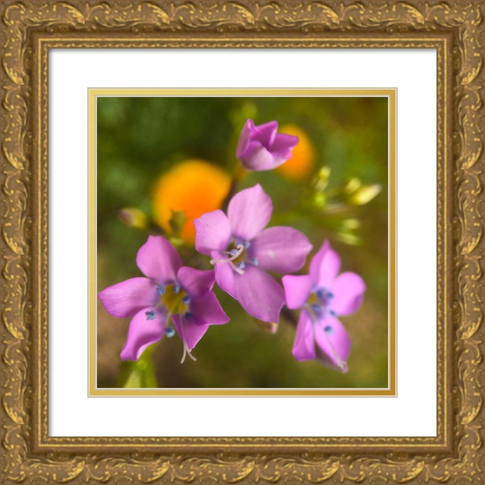 Popcorn 15x15 Gold Ornate Wood Framed with Double Matting Museum Art ...