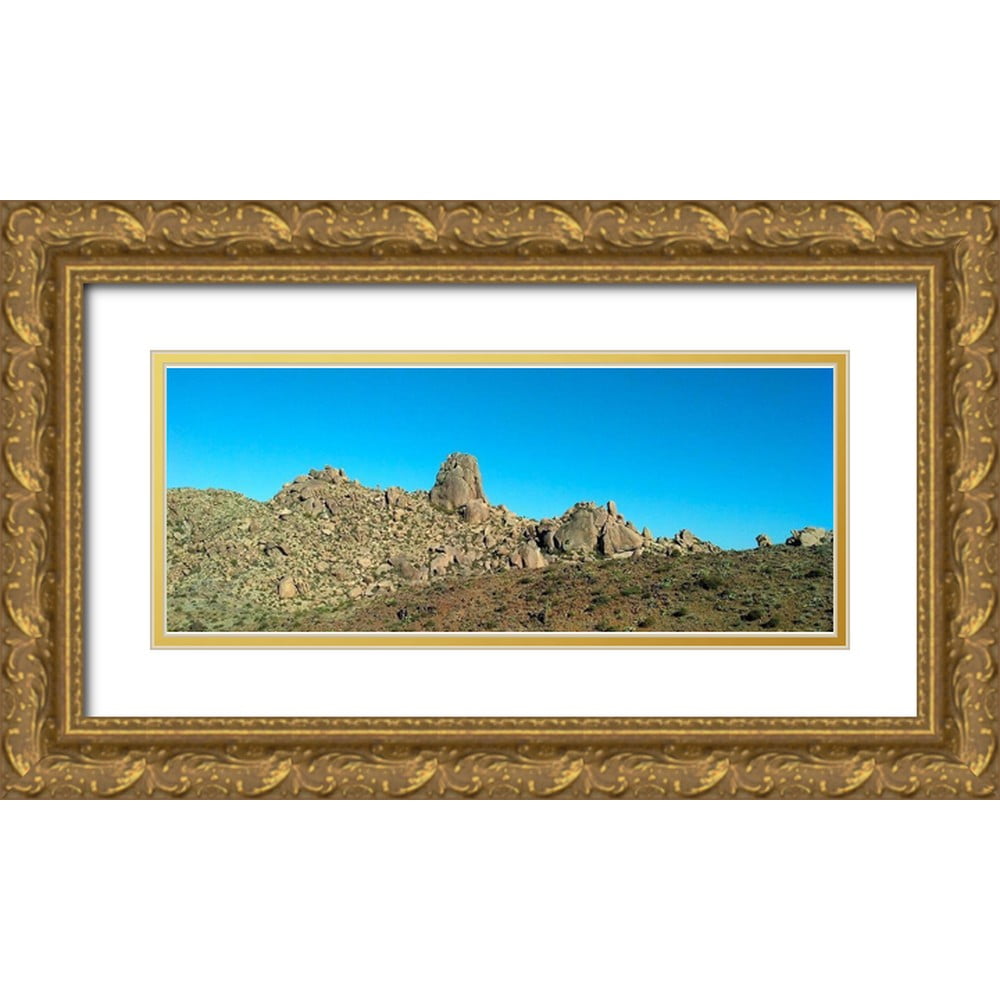 Popcorn 18x10 Gold Ornate Wood Framed with Double Matting Museum Art ...