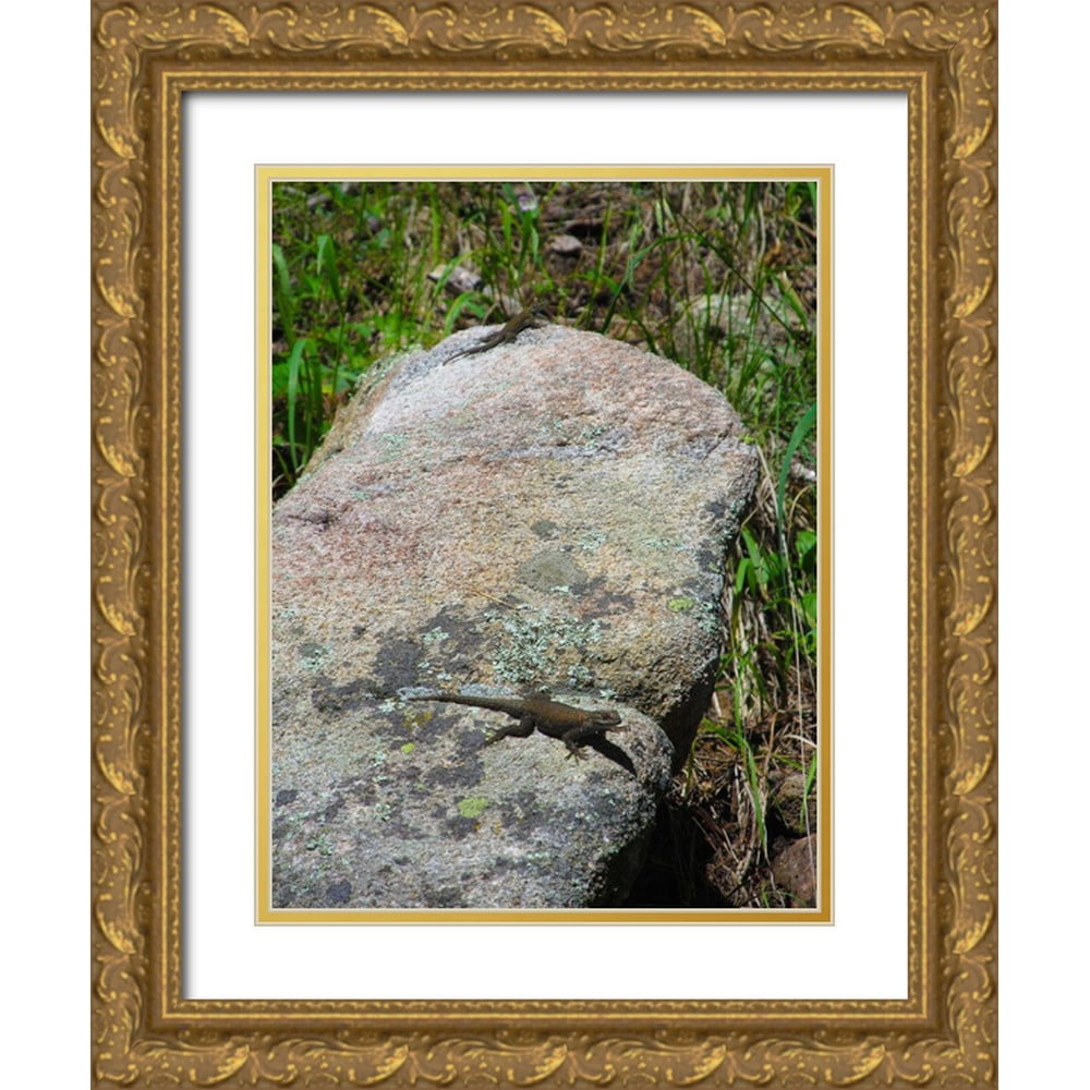 Popcorn 19x24 Gold Ornate Wood Framed with Double Matting Museum Art ...