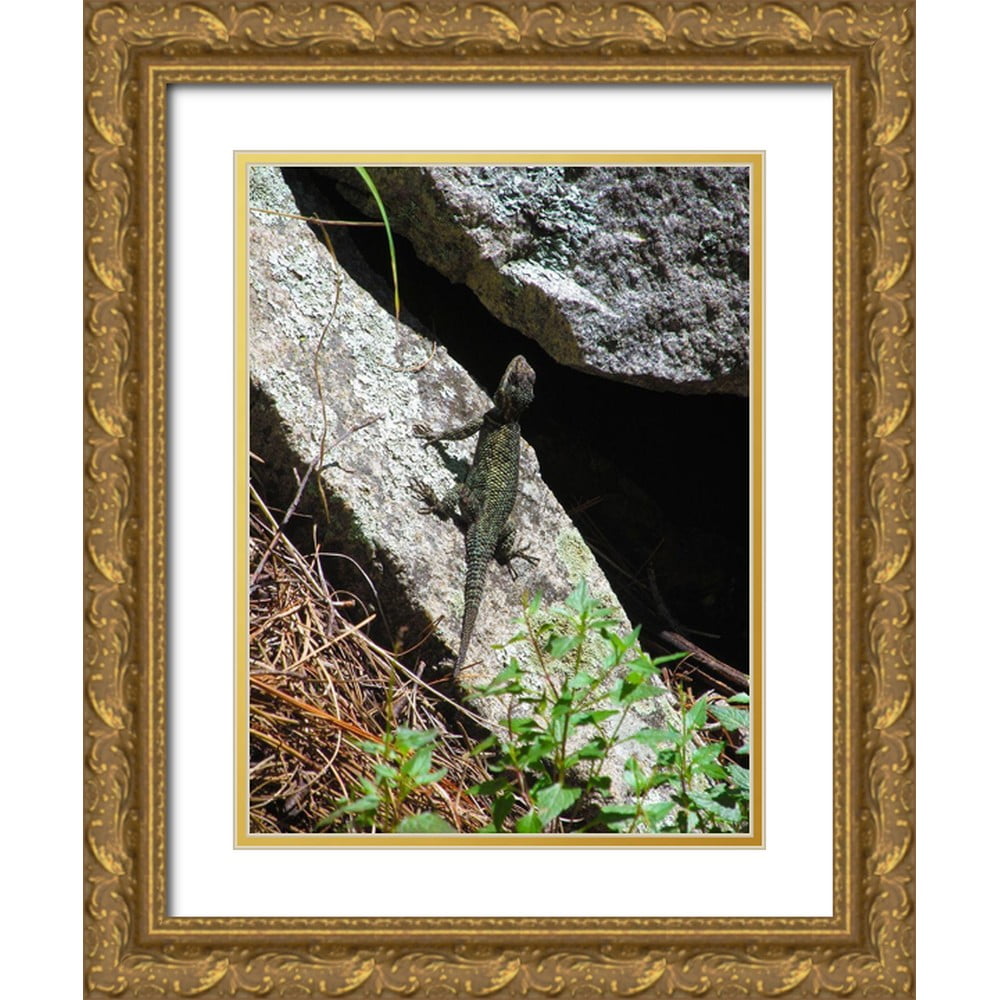 Popcorn 19x24 Gold Ornate Wood Framed with Double Matting Museum Art ...