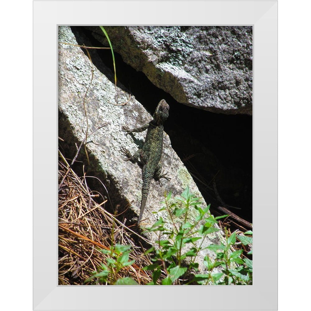 Popcorn 19x24 White Modern Wood Framed Museum Art Print Titled ...