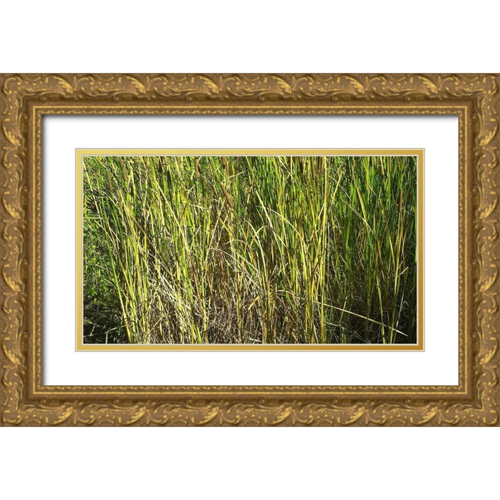 Popcorn 24x15 Gold Ornate Wood Framed with Double Matting Museum Art ...