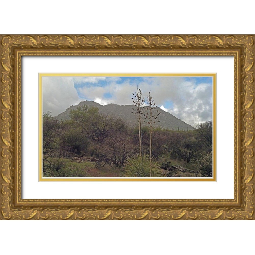 Popcorn 24x16 Gold Ornate Wood Framed with Double Matting Museum Art ...